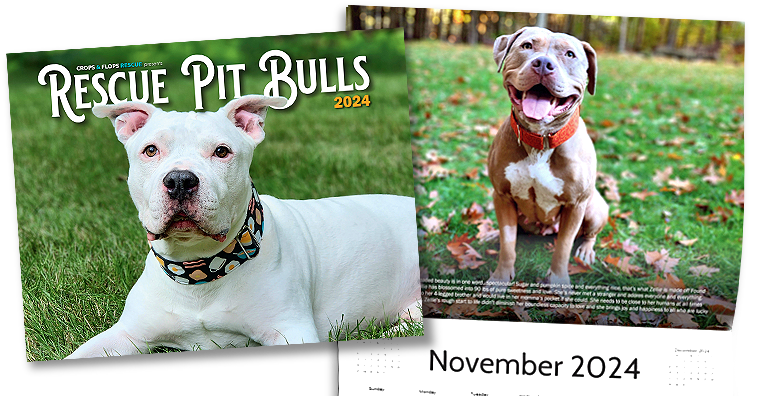 Crops and Flops Rescue - Massachusetts Pit Bull Rescue